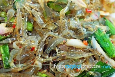 Alive Shrimp Salad Stock Photo - Royalty Free Image ID 100135200
