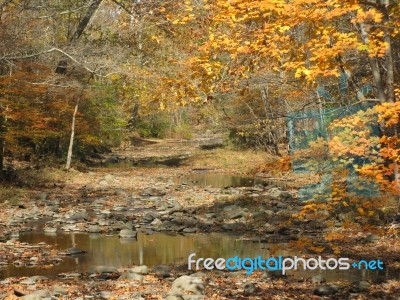 Autumn Bucks County Tincum Creek Stock Photo - Royalty Free Image ID ...