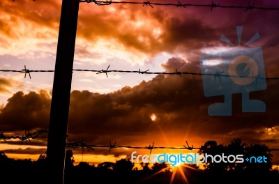 Barbed Wire Fence at Sunset Stock Photo - Royalty Free Image ID 10085032