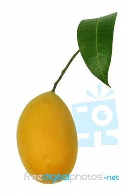 Bouea Oppositifolia, Exotic Thai Fruit Stock Photo - Royalty Free Image ...