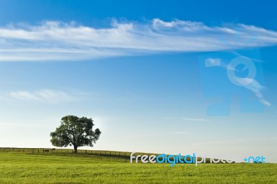 Countryside Stock Photo - Royalty Free Image ID 1007044