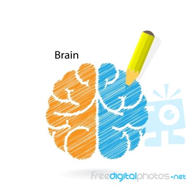 Creative Scribble Brain Sign Stock Image - Royalty Free Image ID 100356607