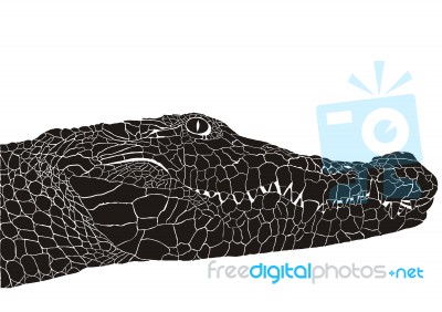 Crocodile Head Stock Image - Royalty Free Image ID 100223193