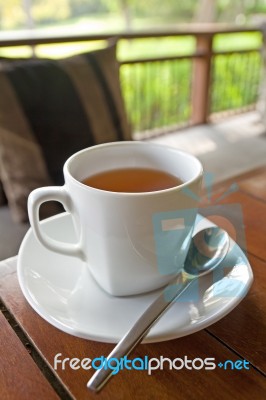 Cup Of Tea Stock Photo - Royalty Free Image ID 10062270