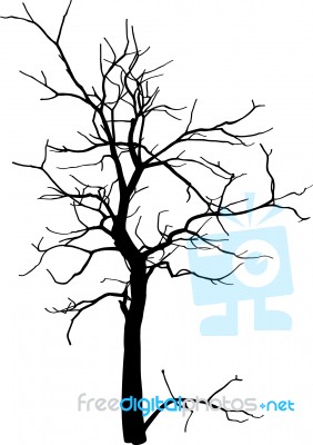Dead Tree Without Leaves Isolated Stock Image - Royalty Free Image ID ...