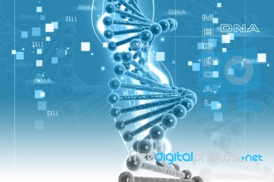 DNA Stock Image - Royalty Free Image ID 10077885