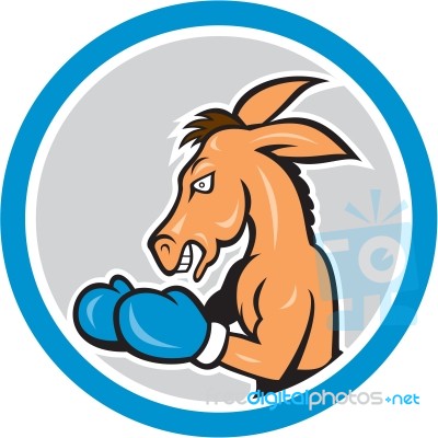 Donkey Boxing Side View Circle Cartoon Stock Image - Royalty Free Image ...