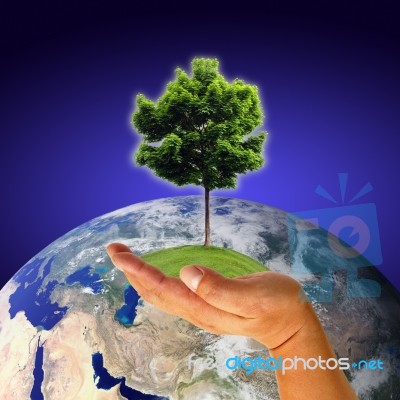 Earth With Tree In Hand Stock Image - Royalty Free Image ID 100113892