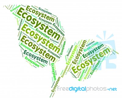 Ecosystem Word Indicates Earth Day And Biosphere Stock Image - Royalty ...