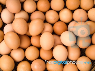 Egg Background Stock Photo - Royalty Free Image ID 10062702