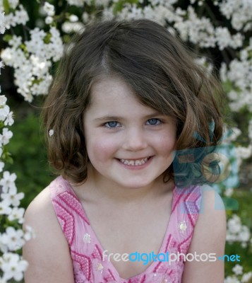 Emily In Apple Blossom Stock Photo - Royalty Free Image ID 10036404