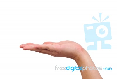 Empty Human Hand Held Up Stock Photo - Royalty Free Image ID 10048100