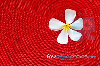 Flower On Rolled Red Rope Stock Photo - Royalty Free Image ID 10064862