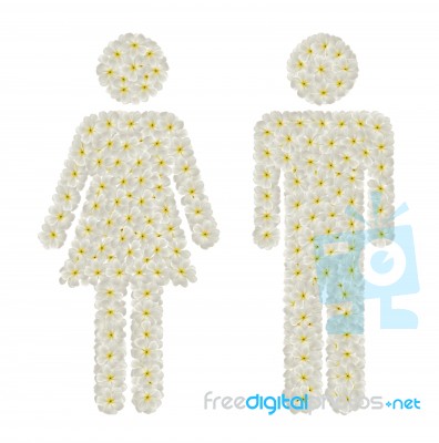 Flower Toilet Signs Stock Photo - Royalty Free Image ID 10046097