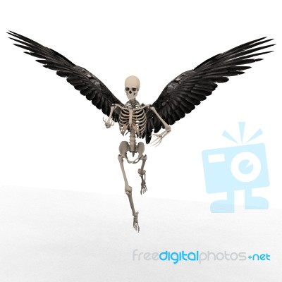 Flying Skeleton Stock Image - Royalty Free Image ID 10061191