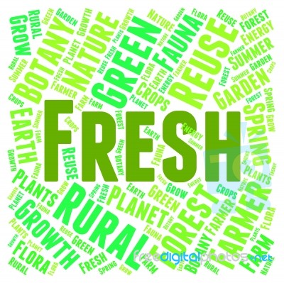 Fresh Word Showing Text Freshest And Natural Stock Image - Royalty Free ...