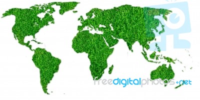 Grass World Map Stock Image - Royalty Free Image ID 10037842