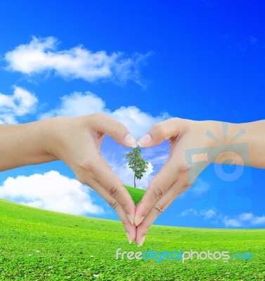 Hand And Nature Concept Stock Photo - Royalty Free Image ID 10056576