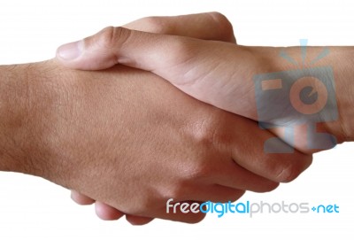 Handshake Stock Photo - Royalty Free Image ID 10024662