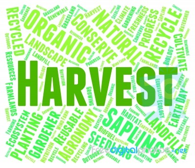 Harvest Word Showing Grain Crops And Grains Stock Image - Royalty Free ...