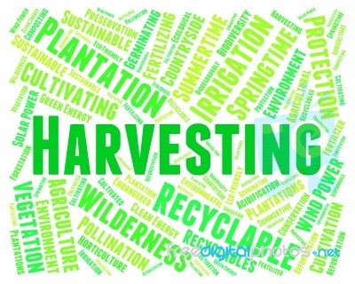 Harvesting Word Means Plants Plant And Harvests Stock Image - Royalty ...