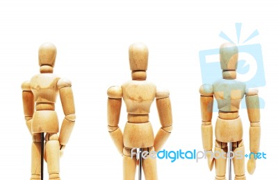 Human Body Mannequin Collection Stock Photo - Royalty Free Image ID ...