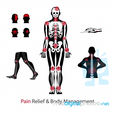 Human Body With Area Of Pain Stock Image - Royalty Free Image ID 100549360