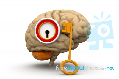 Human Brain With Key Stock Image - Royalty Free Image ID 100183512