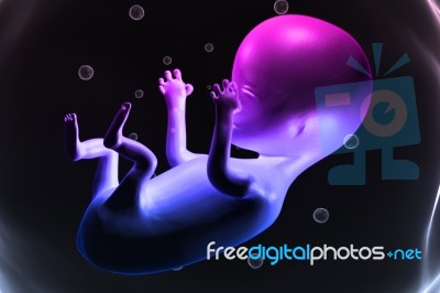 Human Fetus Stock Image - Royalty Free Image ID 100110691