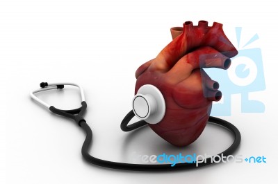 Human Heart And Stethoscope Stock Image - Royalty Free Image ID 100109500