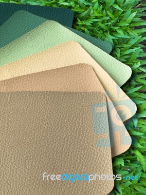 Leatherette Color Sample Stock Photo - Royalty Free Image ID 10025287