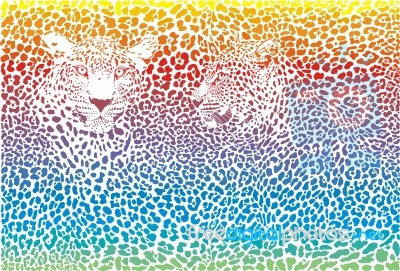 Leopard Pattern Stock Image - Royalty Free Image ID 10092352