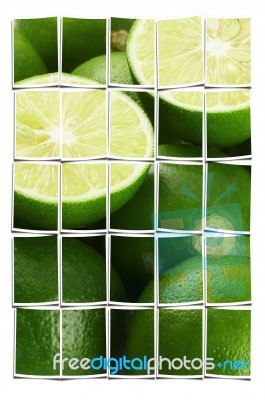 Lime Stock Photo - Royalty Free Image ID 100285213