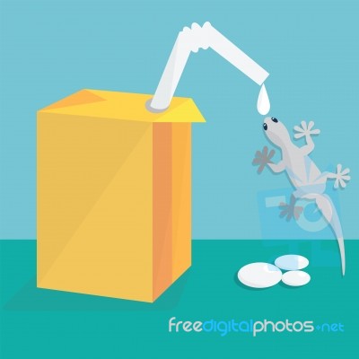 Lizard Steal Milk Stock Image - Royalty Free Image ID 100154605