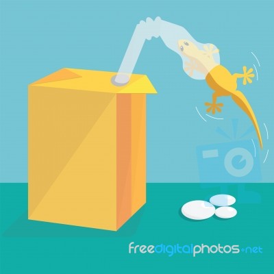 Lizard Steal Milk Stock Image - Royalty Free Image ID 100154797