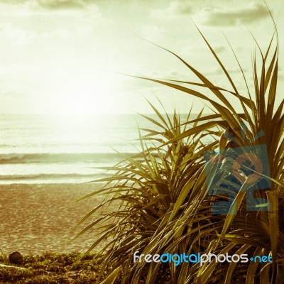 Nature Background Vintage Style Stock Photo - Royalty Free Image ID ...