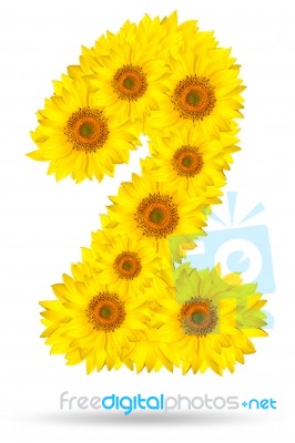 Number 2 Made Of Sunflower Stock Photo - Royalty Free Image ID 10063065