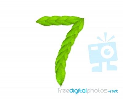 Number Seven Made Of Leaves Stock Photo - Royalty Free Image ID 10041646