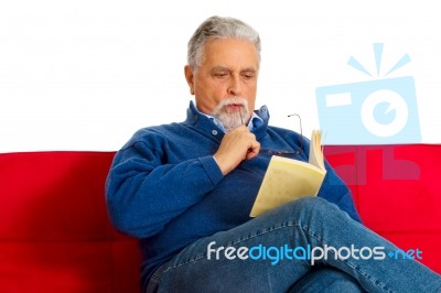 Old Man Reading Book Stock Photo - Royalty Free Image ID 10041080