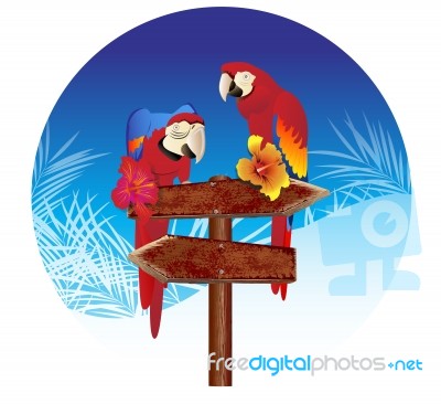 Parrots On Sign Board Stock Image - Royalty Free Image ID 10087678