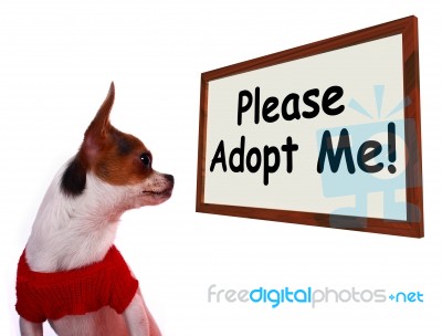 Please Adopt Me Sign Stock Photo - Royalty Free Image ID 10084433