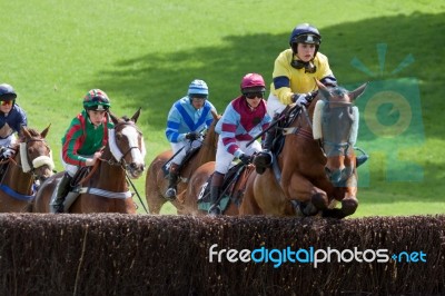 Point To Point Racing At Godstone Surrey Stock Photo - Royalty Free ...