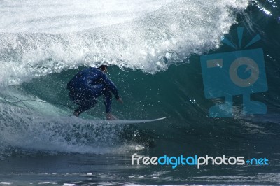 Poised Stock Photo - Royalty Free Image ID 10036370