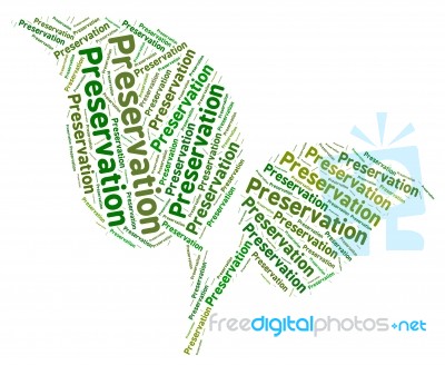 Preservation Word Representing Earth Friendly And Ecological Stock ...