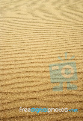 Rippled Sand Stock Photo - Royalty Free Image ID 10020544