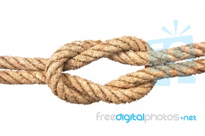 Ropes With A Knot Stock Photo - Royalty Free Image ID 10095162