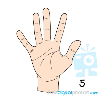 Sign Language,number 5 Stock Image - Royalty Free Image ID 100279390