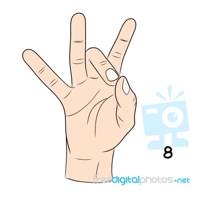 Sign Language,number 8 Stock Image - Royalty Free Image ID 100279378