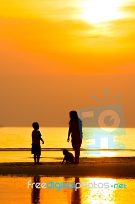 Silhouette Life Stock Photo - Royalty Free Image ID 100232585