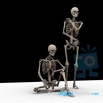 Sitting And Standing Skeleton Stock Image - Royalty Free Image ID 10061537